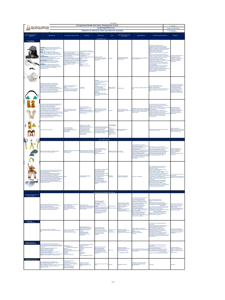 Matrix and Delivery and Follow-Up Formats of Ppe | PDF | Personal ...