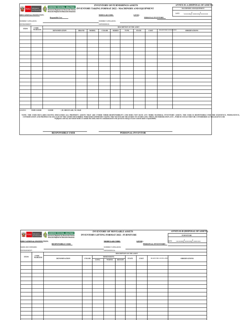 Inventory Format - Assets For Disposal | PDF | Inventory