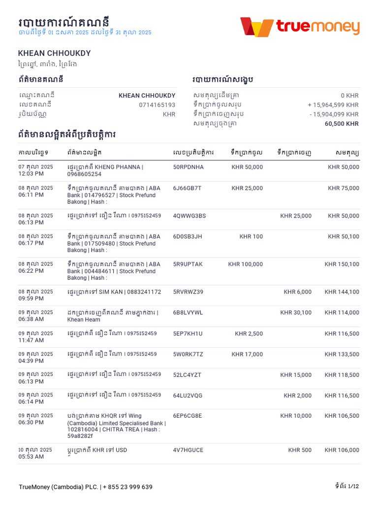 TrueMoney Cambodia Financial Report 2025 | PDF | Private Sector ...