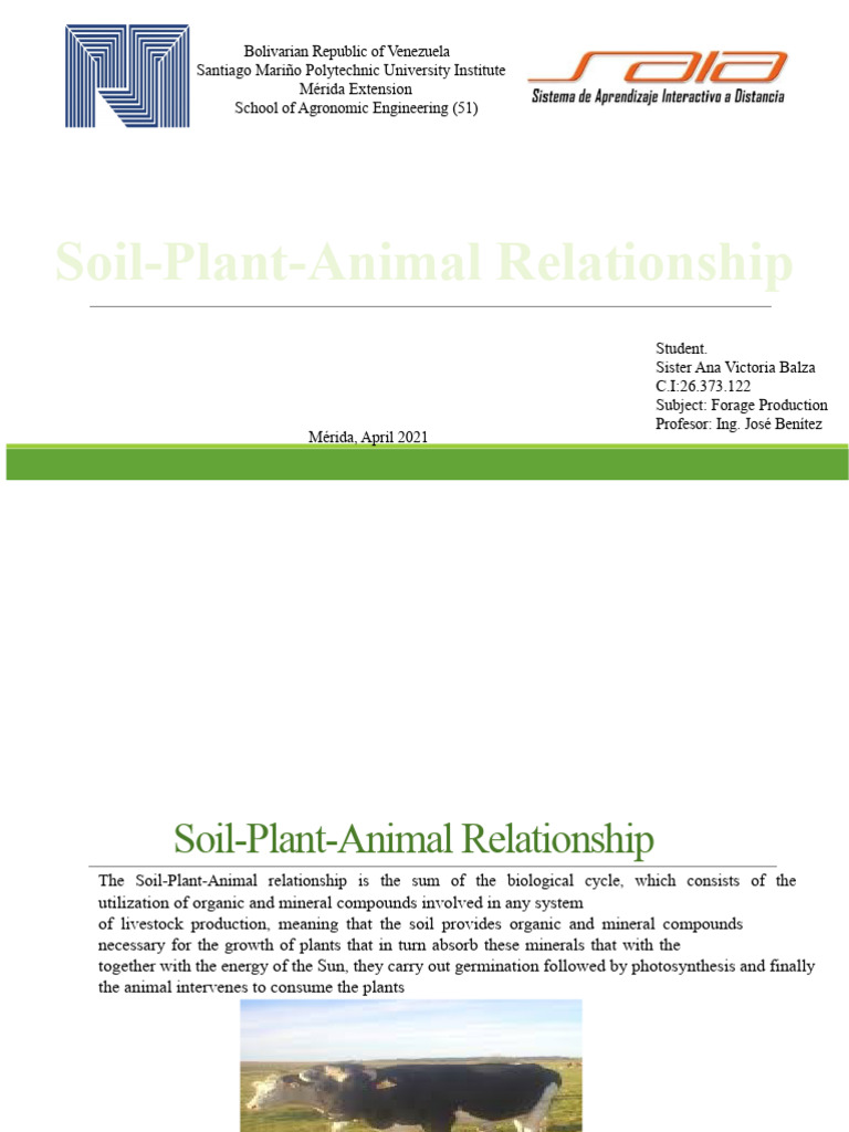 Soil-Plant-Animal Relationship | PDF