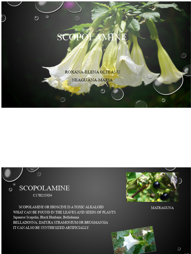 SCOPOLAMINE | PDF | Drugs | Drugs Acting On The Nervous System