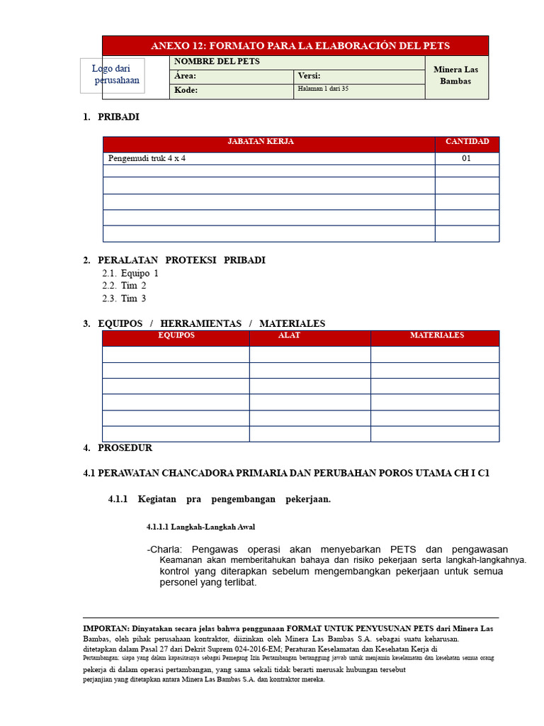 ANEXO 12 Format PETS - 2021 - Contoh | PDF