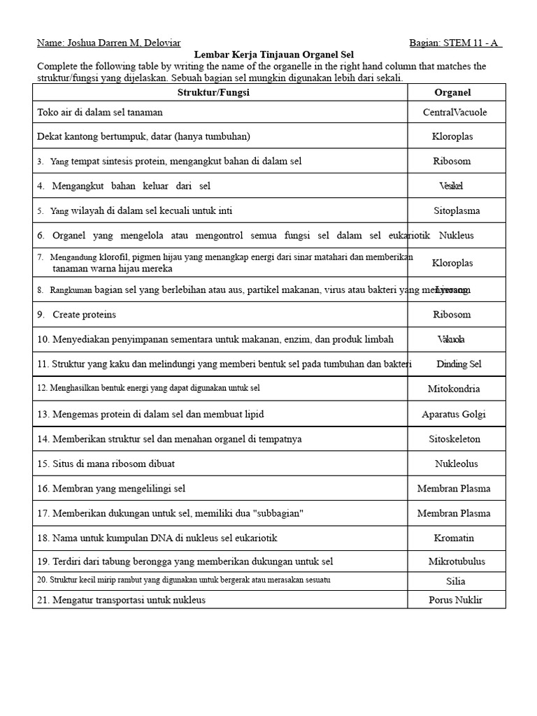 Lembar Kerja Tinjauan Organel Sel Deloviar 1 | PDF