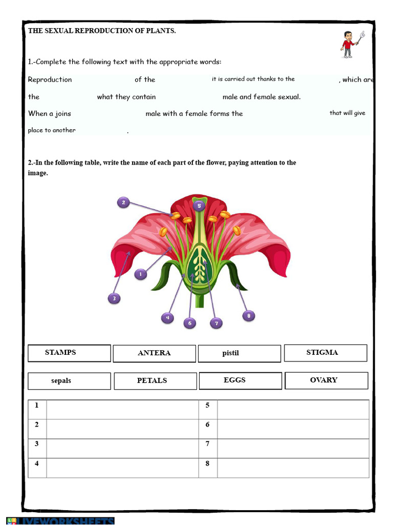 Plant Sexual Reproduction Explained | PDF