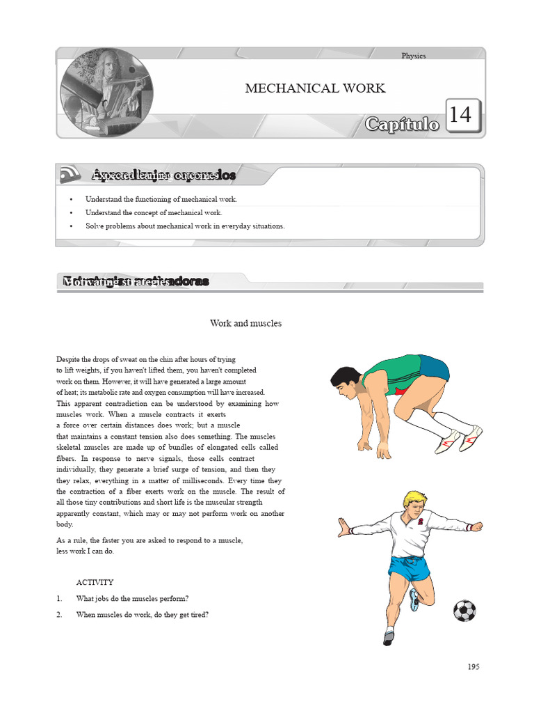 14 Mechanical Work | PDF | Skeletal Muscle | Force