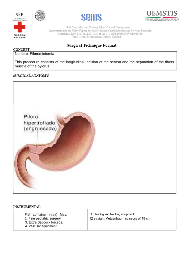 Surgical Technique: Piloromiotomía Guide | PDF | Surgery | Stomach