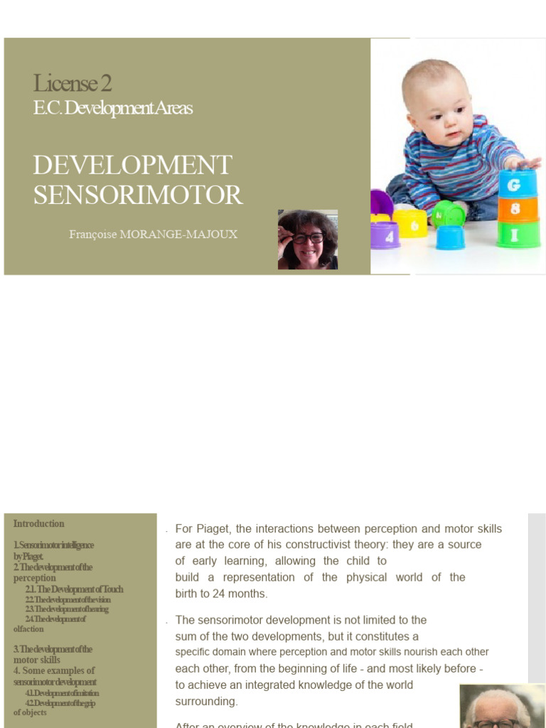 Piaget's Sensorimotor Development Insights | PDF | Senses | Perception
