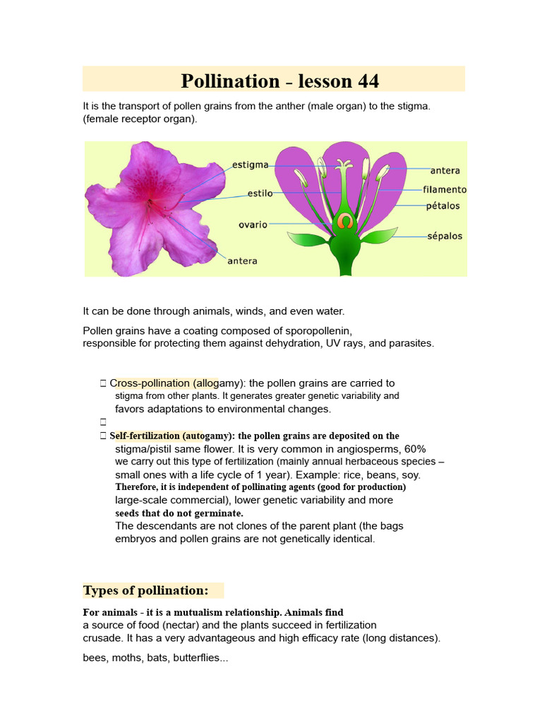 Understanding Pollination Types and Mechanisms | PDF | Pollination | Pollen