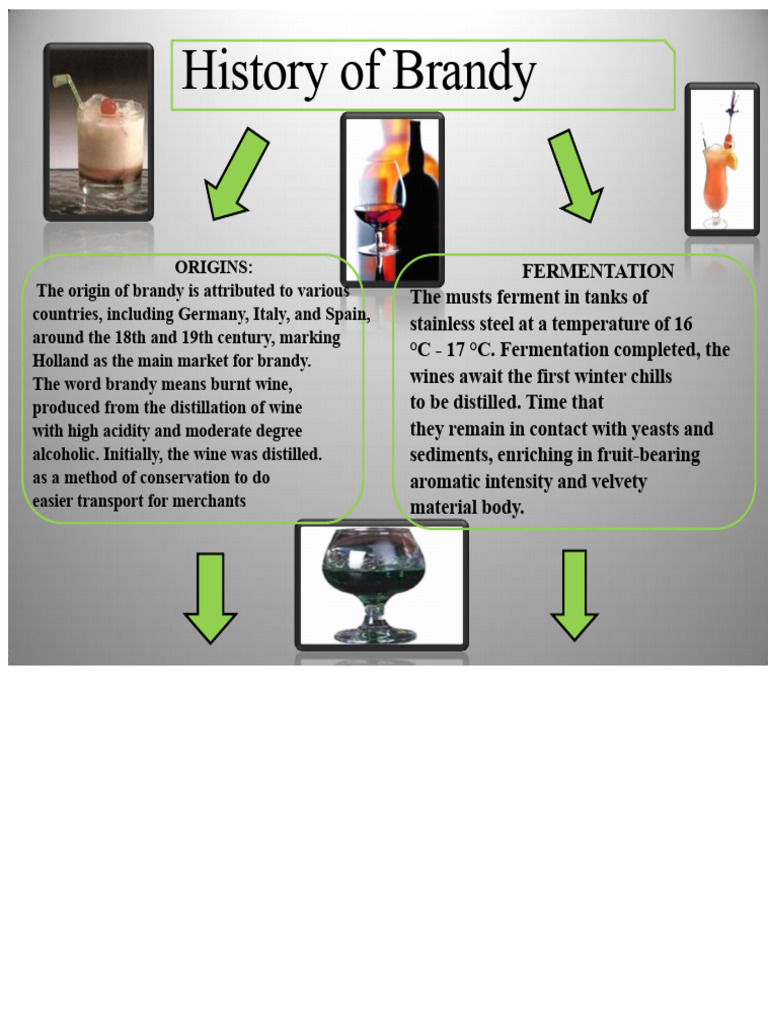 History of Brandy | PDF | Brandy | Wine