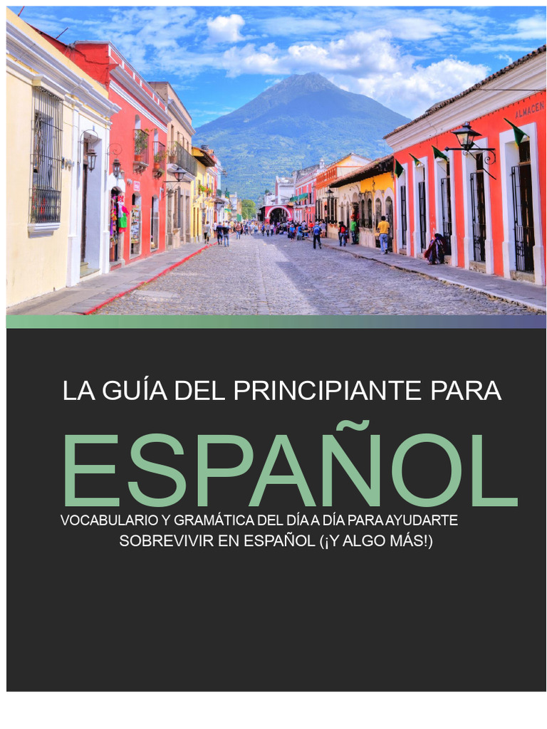 Guía Del Principiante Al Español | PDF | Género gramatical | Verbo