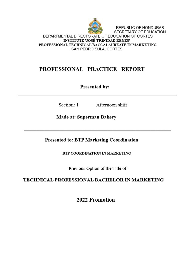 Professional Practice Report BTP MKT 2022 | PDF | Marketing | Consumer Behaviour