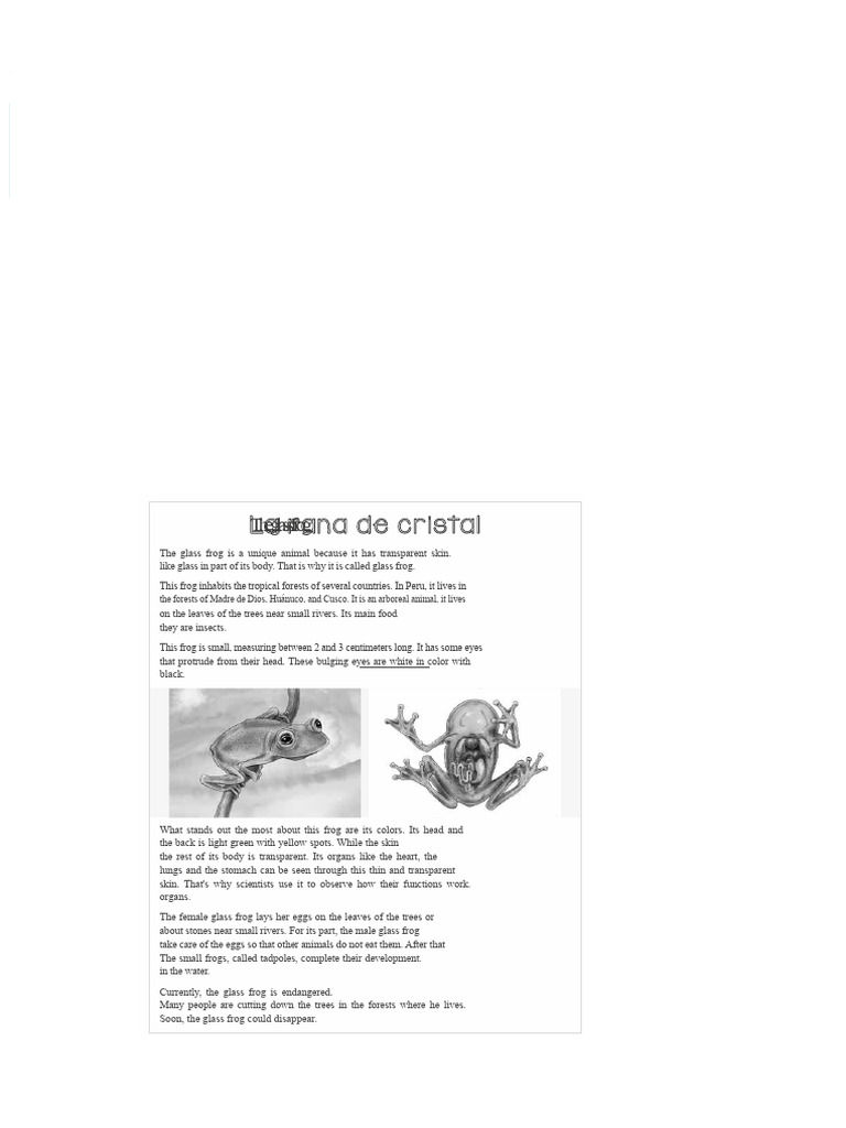 Endangered Glass Frog Facts and Habitat | PDF