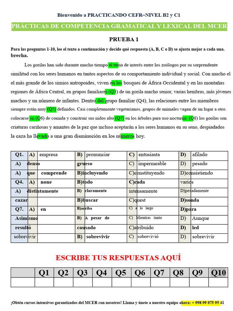 Práctica de Gramática B2 C1 | PDF