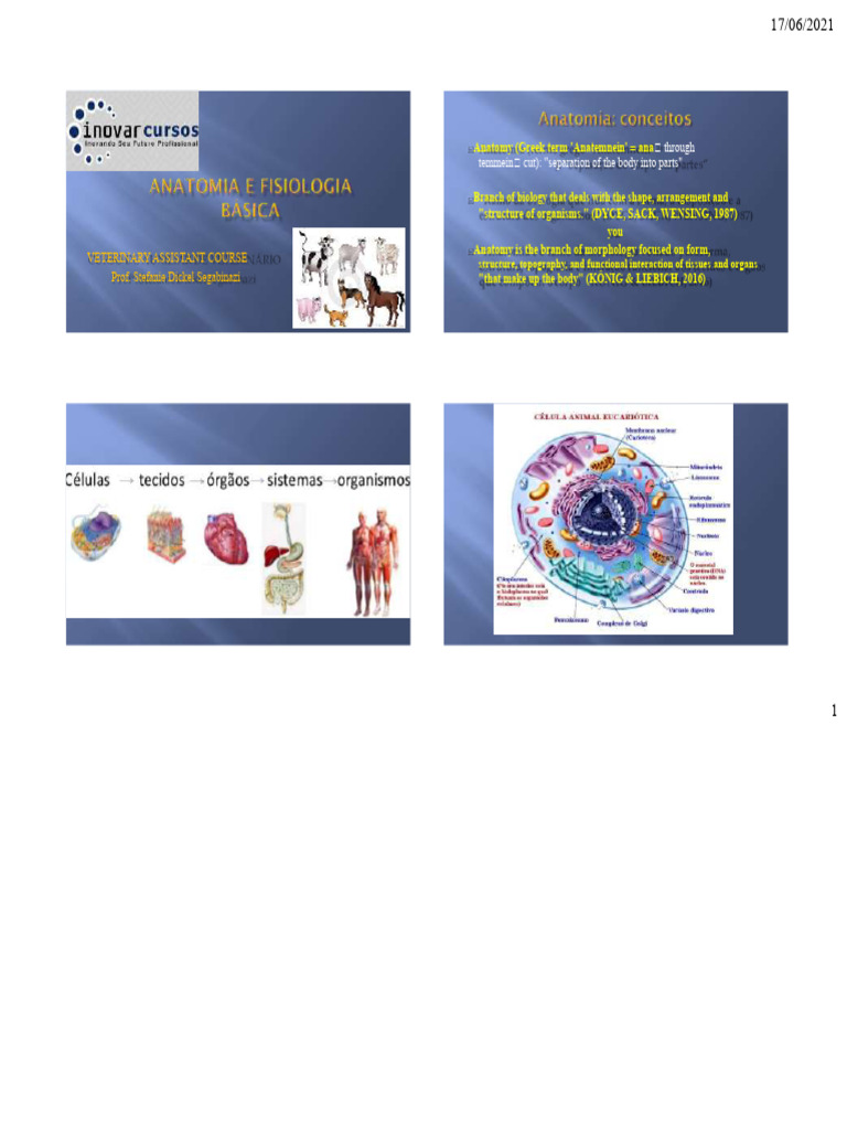 Class 01 Veterinary Anatomy and Physiology | PDF | Bone | Anatomical ...