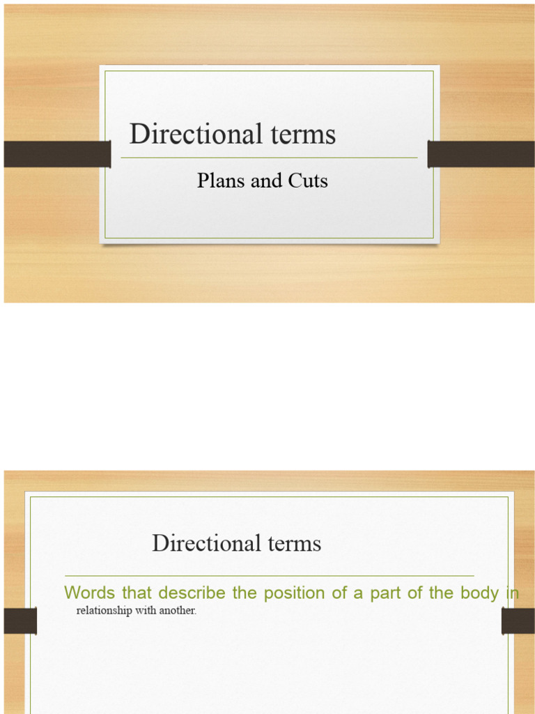 Directional Terms | PDF | Anatomical Terms Of Location