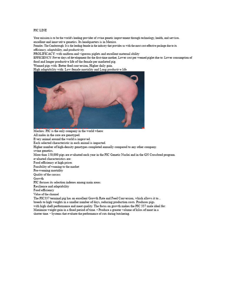 Swine Genetic Improvement Solutions | PDF | Pig | Meat