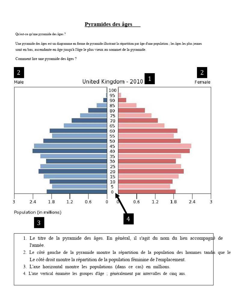 Comprendre les pyramides des âges | PDF