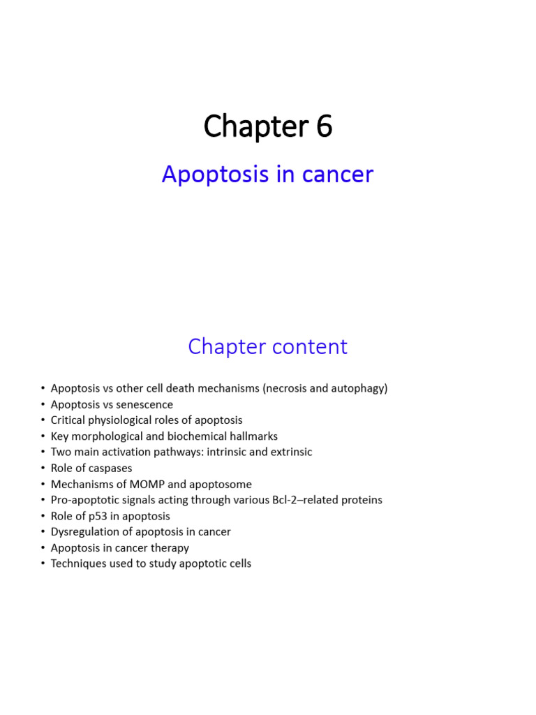 Ch 6 Apoptosis in Cancer | PDF | Apoptosis | Bcl 2
