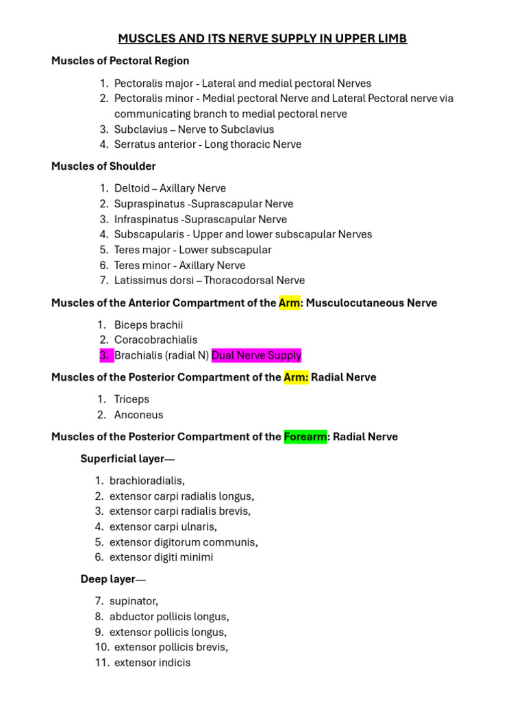 Ul Muscles, Nerves and Actions | PDF | Thumb | Anatomical Terms Of Motion