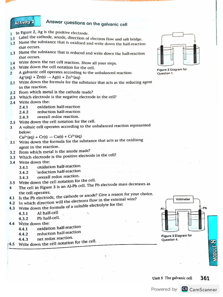 Worksheet Galvanic Cell | PDF