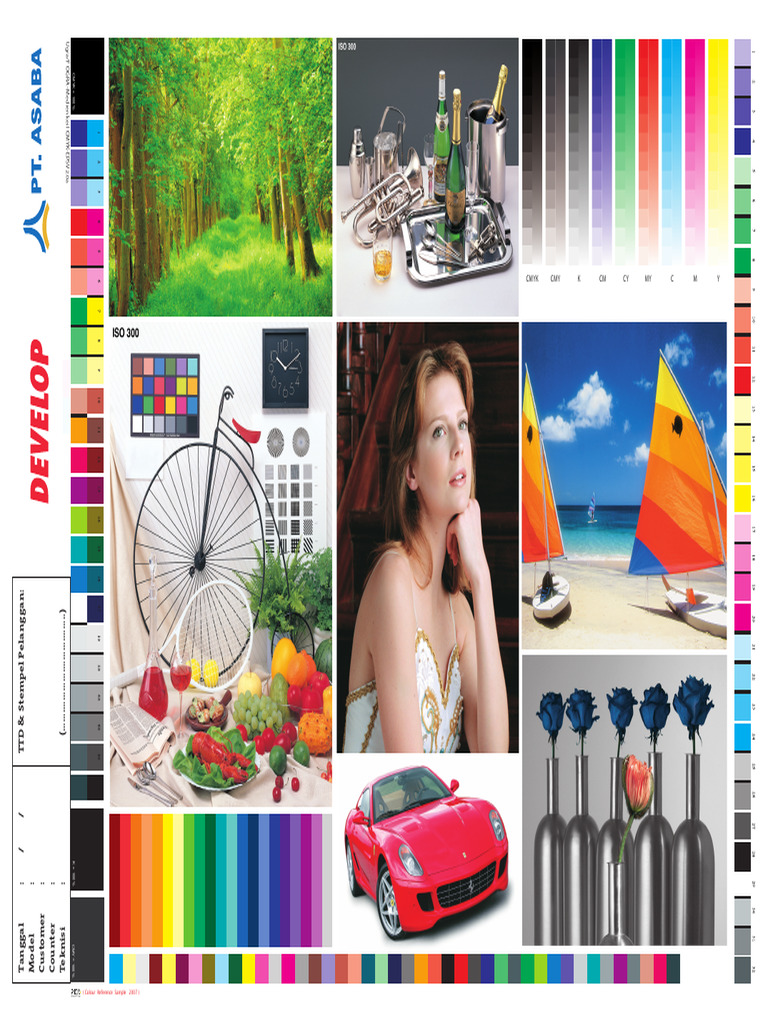 Colour Chart2 A3 With ID | PDF