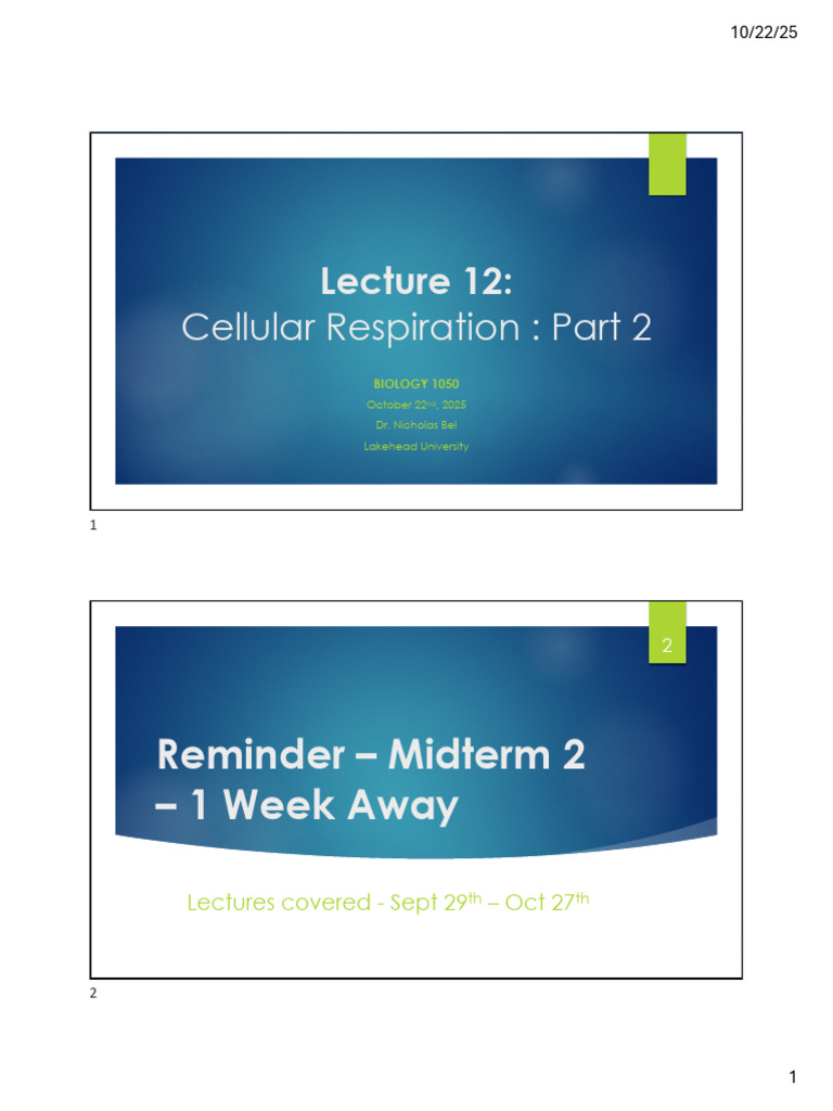 Lecture 12 - Cellular Respiration - Part 2 - Fall 2025 | PDF | Cellular ...