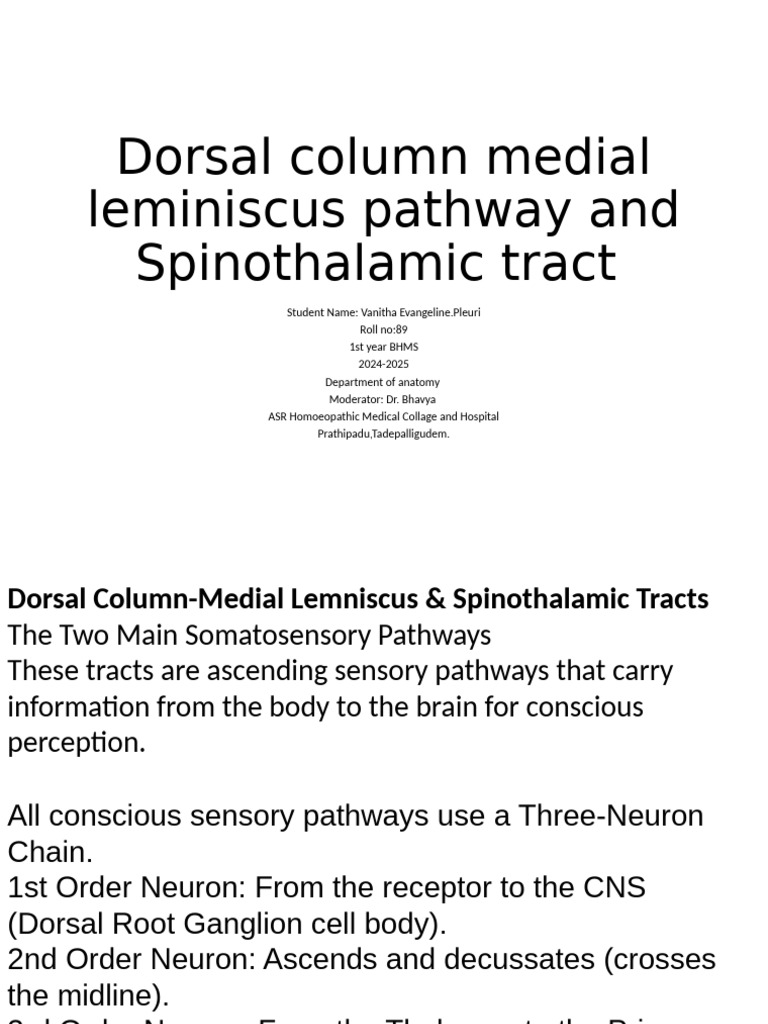 Vanitha-DCSl STT Pathway | PDF | Spinal Cord | Cerebrum