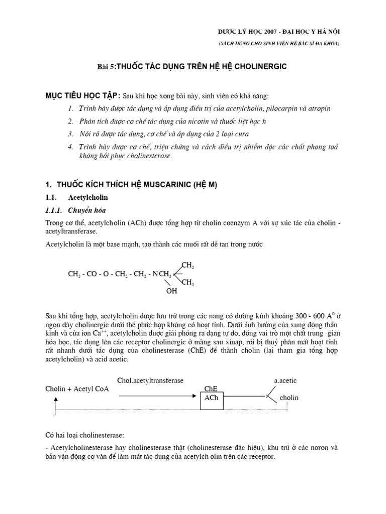 Bai 05 - Thuoc Tac Dung Tren He Cholinergic | PDF