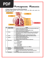 Kode ICD 10 untuk PPOK Eksaserbasi | PDF