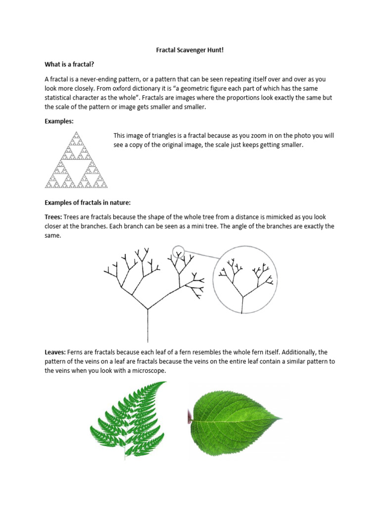Fractals in Nature | PDF | Pattern | Fractal