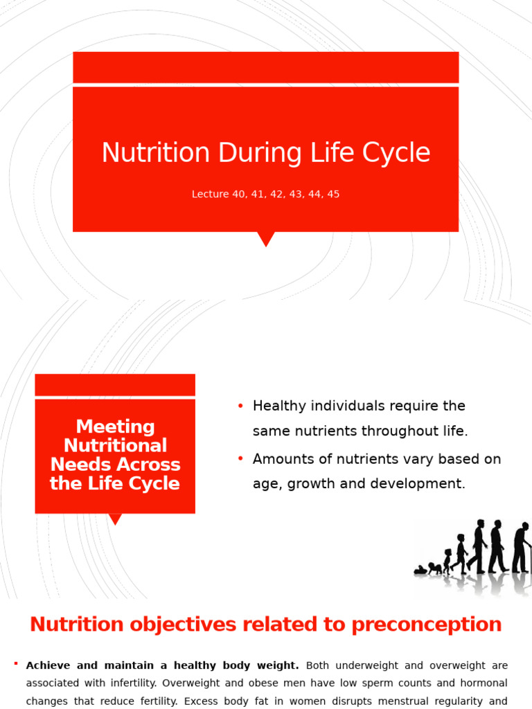 Nutritional Needs Across Life Stages | PDF | Pregnancy | Vitamin