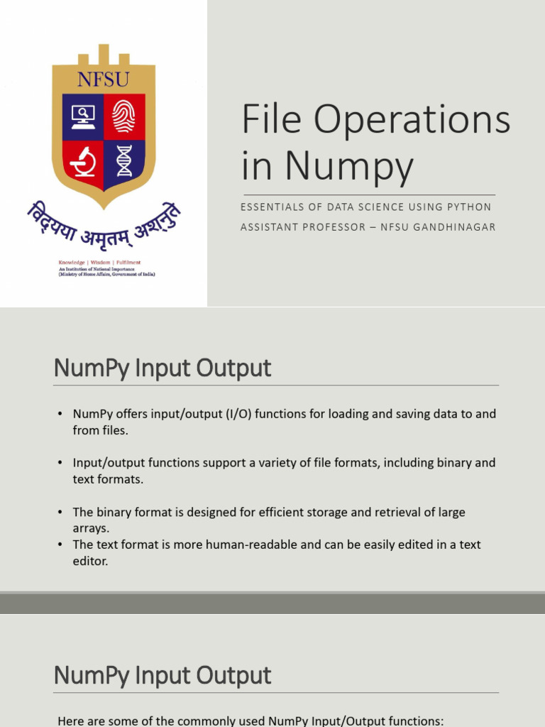 File in Put and Out Put With Arrays | PDF