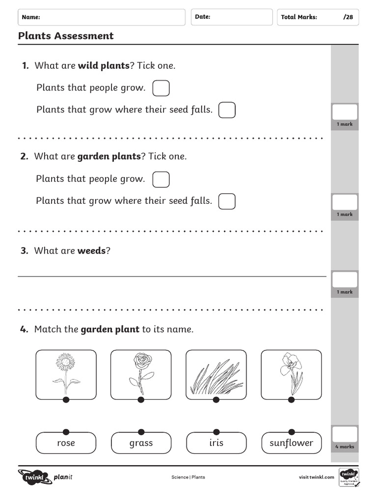 Plants Assessment Test Black and White | PDF