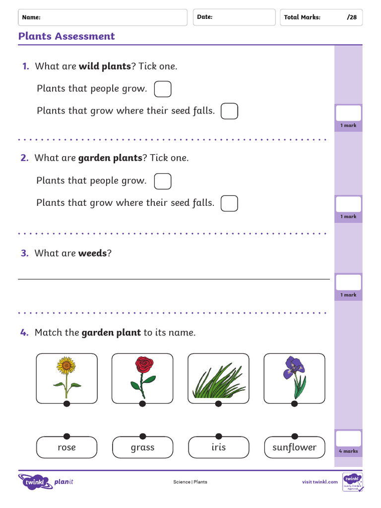 Plants Assessment Test Pdf