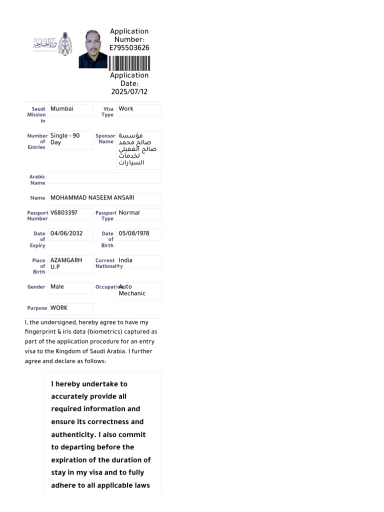 Visa Platform | PDF | Travel Visa | Saudi Arabia