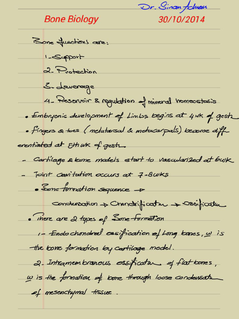Bone Biology | PDF