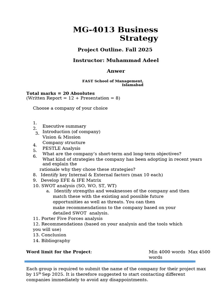 Business Strategy Project Outline 2025 | PDF