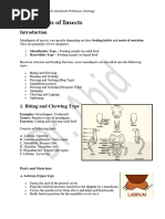 Biting and Chewing Insect Mouthparts | PDF | Insects | Arthropods
