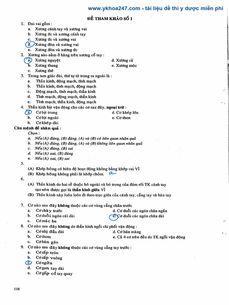 Ykhoa247 Com 29 de Thi Giai Phau Dap An Sao Chep | PDF