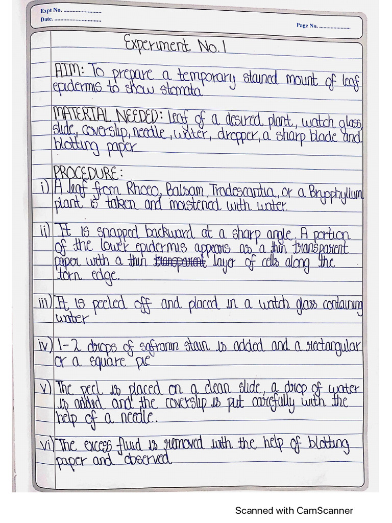 Bio Experiment Term 1 | PDF