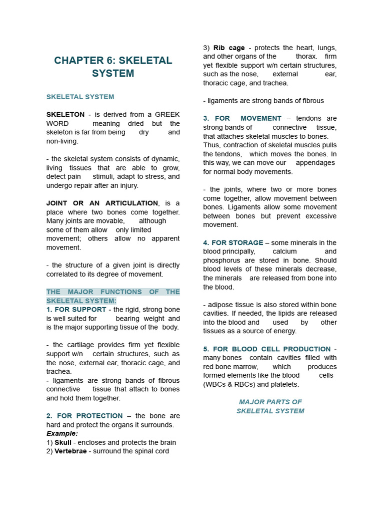 Chapter 6 - Skeletal System | PDF | Human Nose | Bone