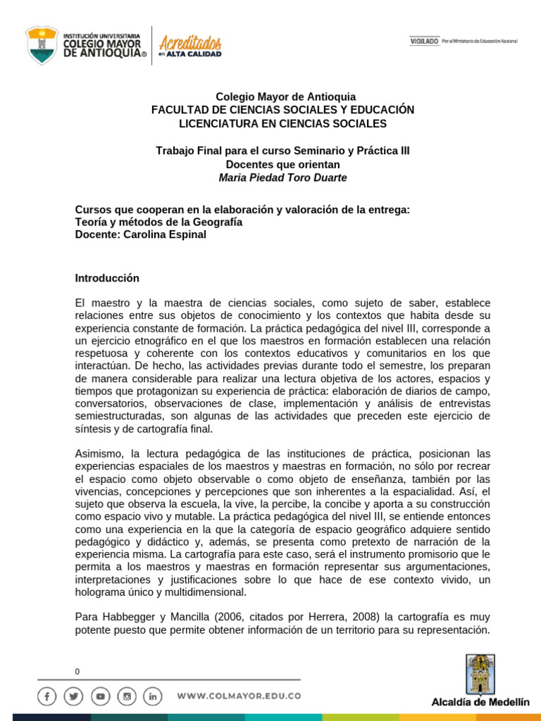 Trabajo Final Sem y Prac III | PDF | Sistema | Pedagogía