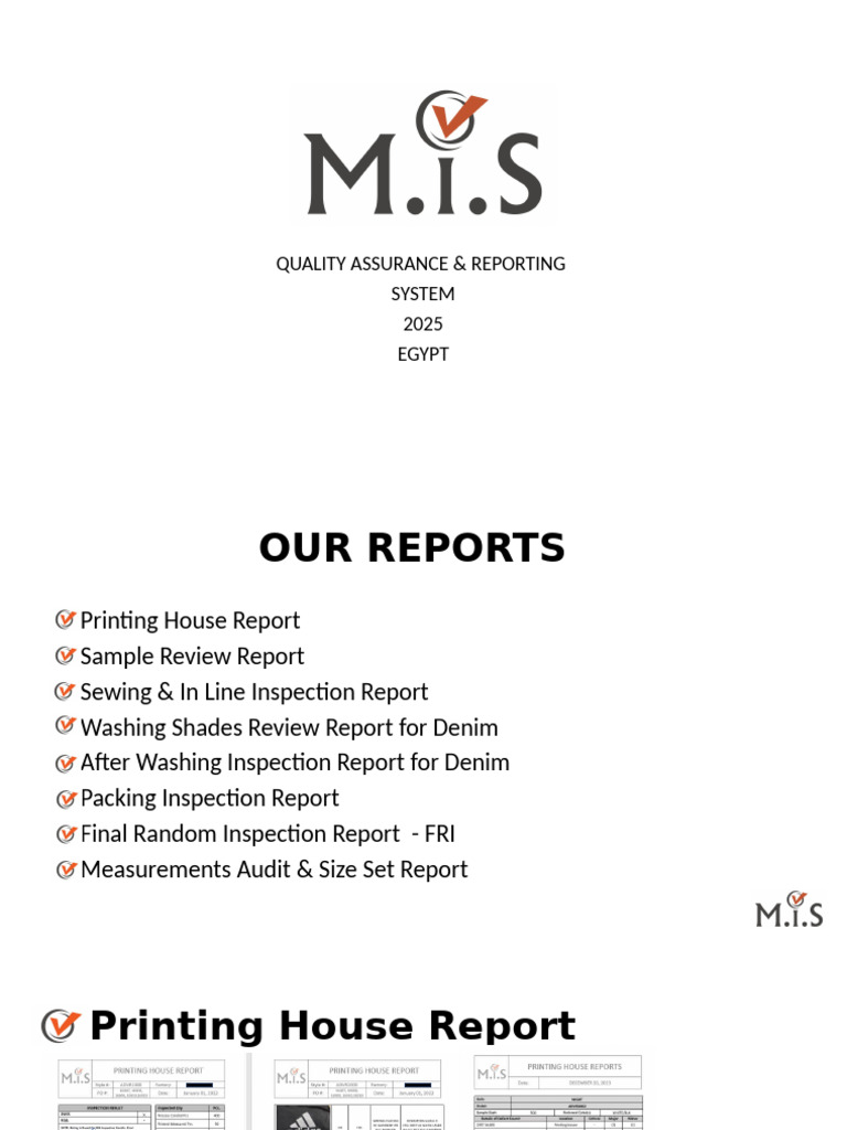 2025 Egypt Quality Assurance Reports | PDF