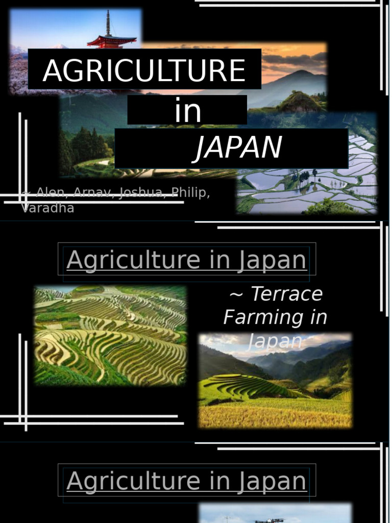 Agriculture Japan | PDF
