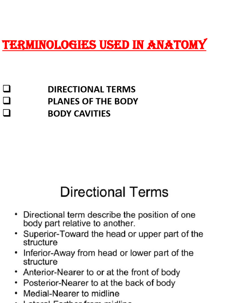 Terminologies Used in Anatomy | PDF