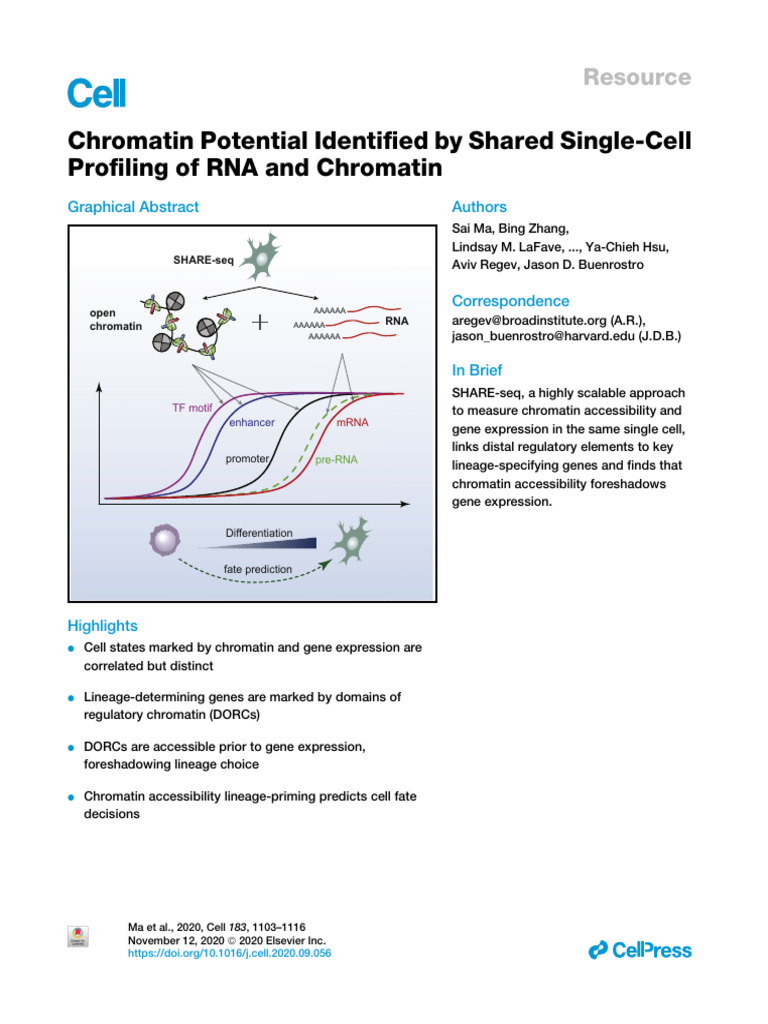 Share Seq | PDF | Cellular Differentiation | Gene Expression