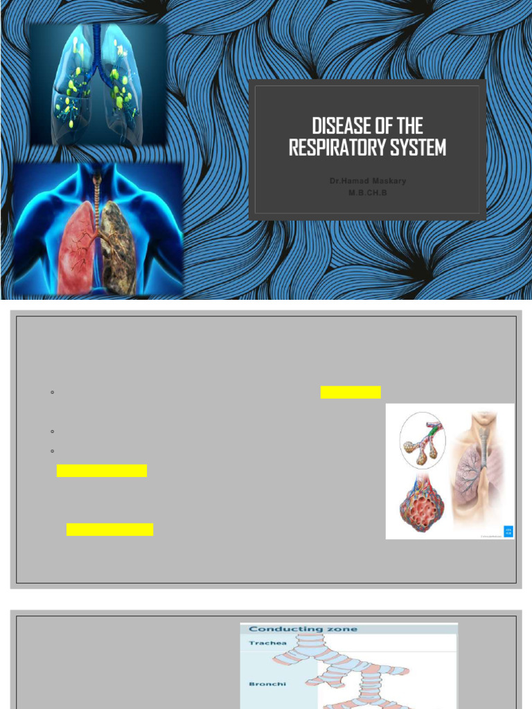 Respiratory System Diseases Overview | PDF | Respiratory Tract | Lung