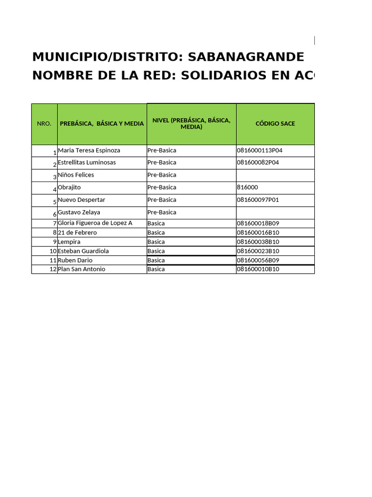 MATRICES EXCEL REDES EDUCATIVAS 2025 Solidarios en Accion | PDF