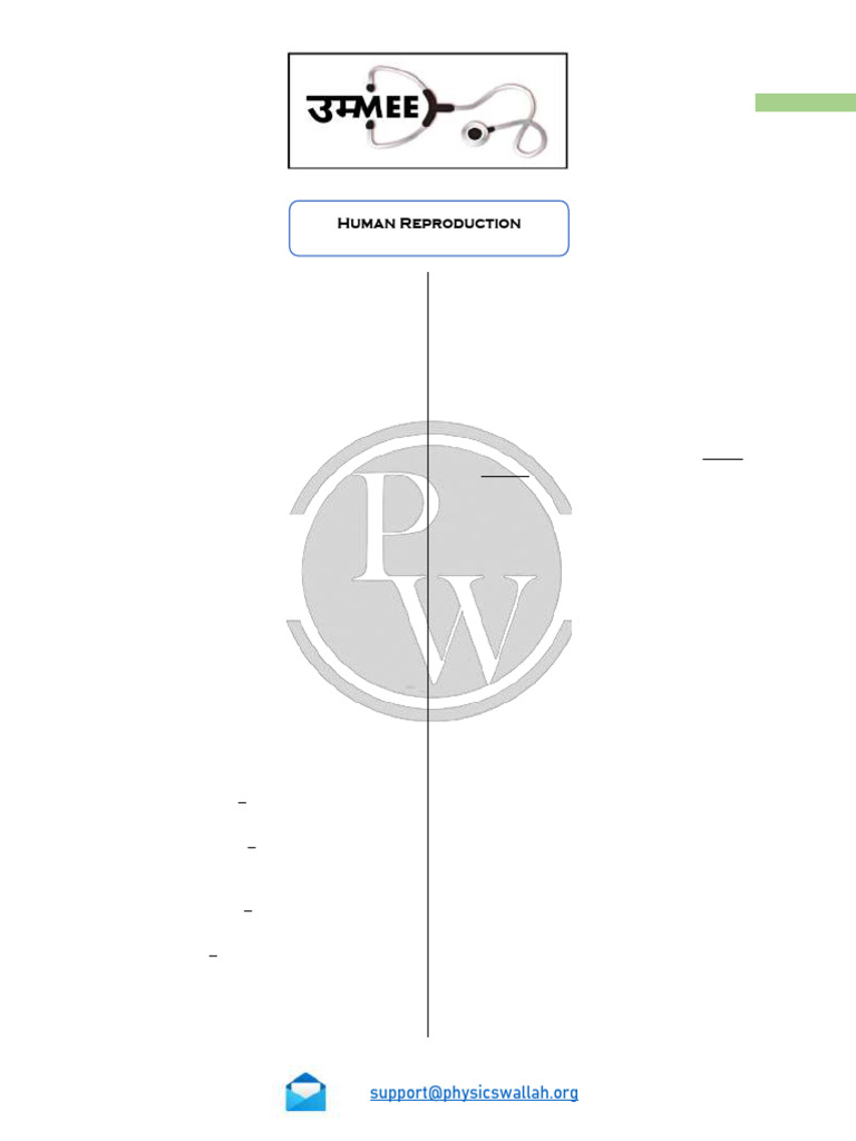 Human Reproductive System Quiz | PDF | Menstrual Cycle | Testicle