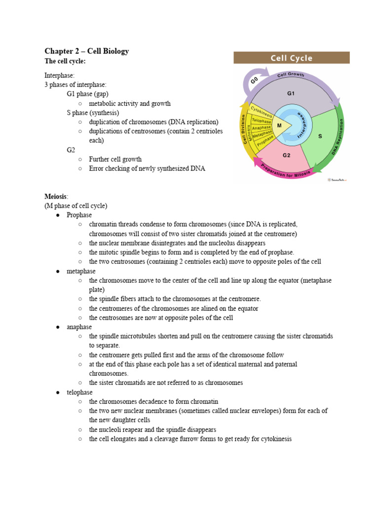 BIO Unit3 | PDF | Dominance (Genetics) | Genotype